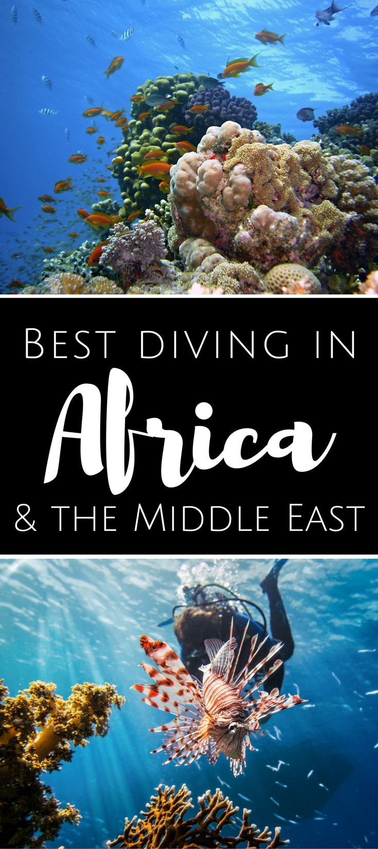 Best diving in Africa & the Middle East - World Adventure Divers