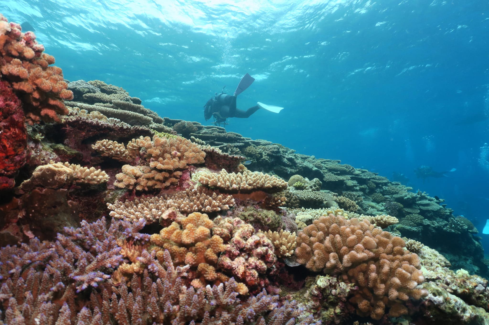 2 weeks in Okinawa: my ultimate itinerary for scuba divers