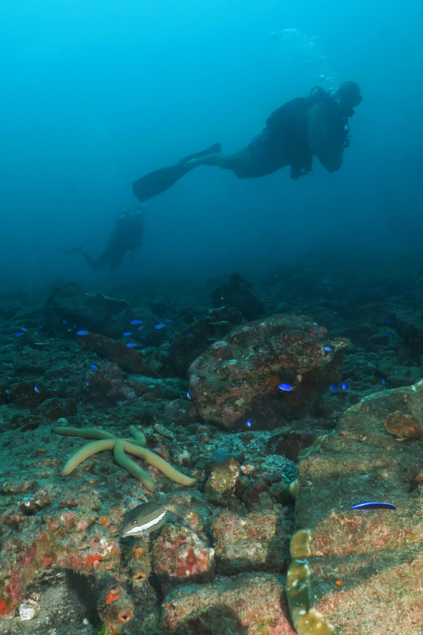 Marquesas Islands: 5 awesome things to do on a short visit