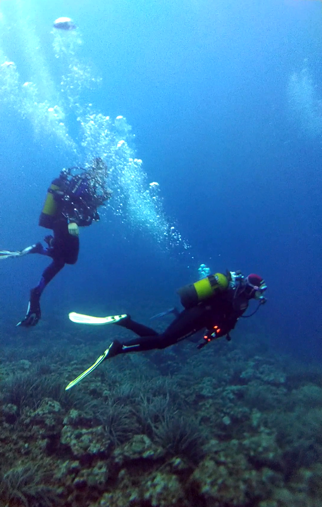 Diving phone case: is it such a good idea? - World Adventure Divers