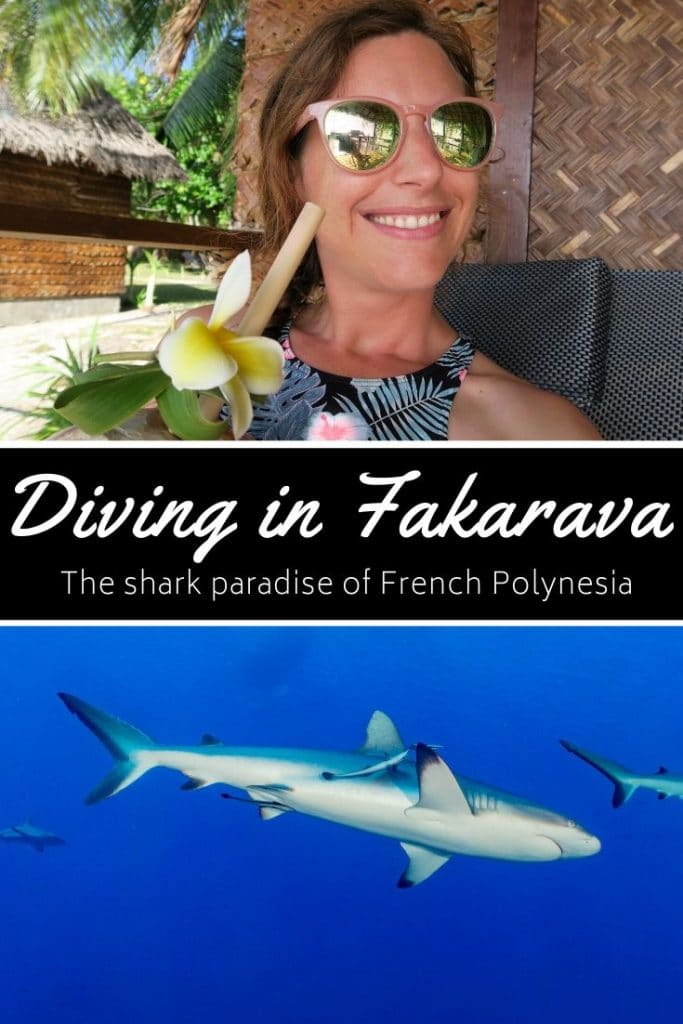 Diving in Fakarava shark paradise, French Polynesia