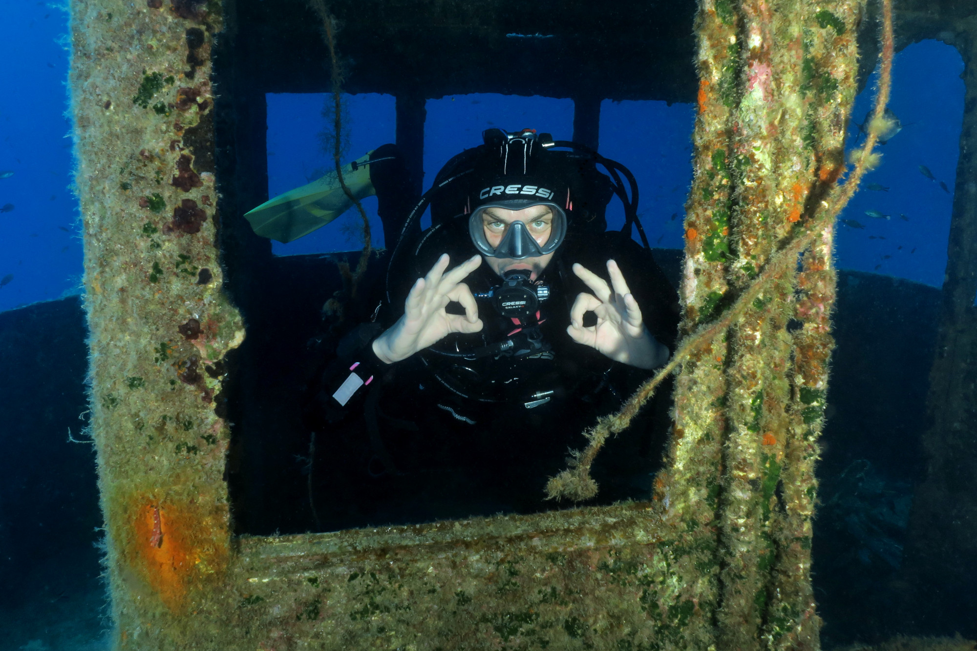 When is the best time to dive in Malta?